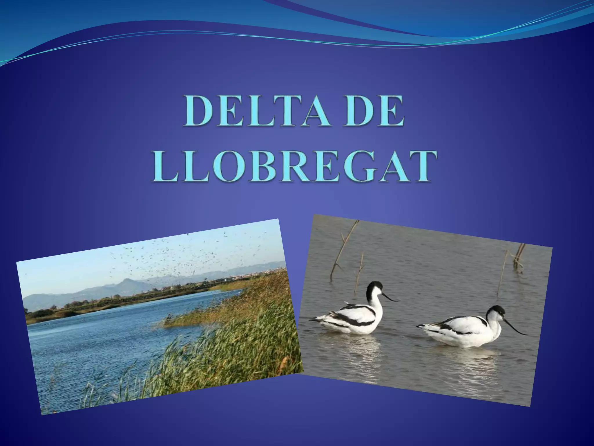 Delta de Llobregat | PPTX