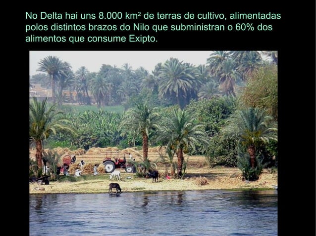 Delta do nilo | PPT