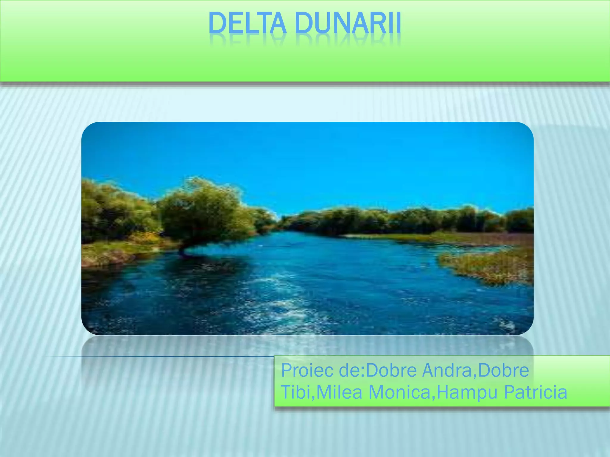 Delta dunarii-dobre andra & dobre tibi& hampu patricia&milea monica | PPTX