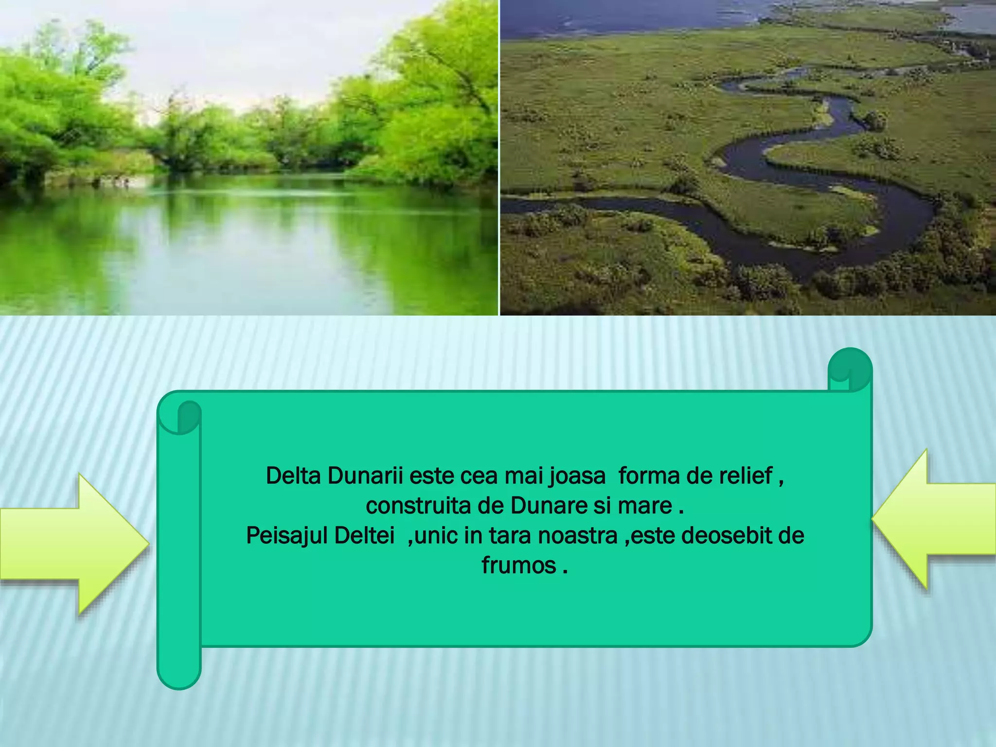 Delta dunarii-dobre andra & dobre tibi& hampu patricia&milea monica | PPTX