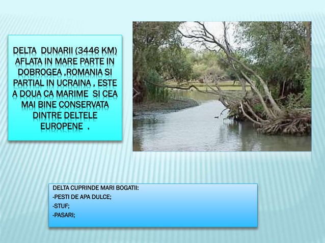 Delta dunarii-dobre andra & dobre tibi& hampu patricia&milea monica | PPTX