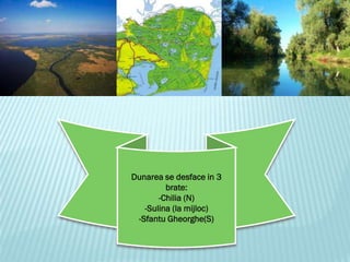 Delta dunarii-dobre andra & dobre tibi& hampu patricia&milea monica | PPTX