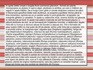 Delta Dunarii | ODP