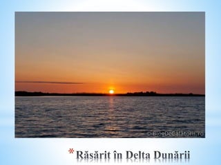 Delta dunarii | PPT