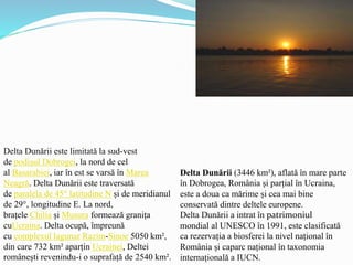 Delta dunarii leo | PPTX