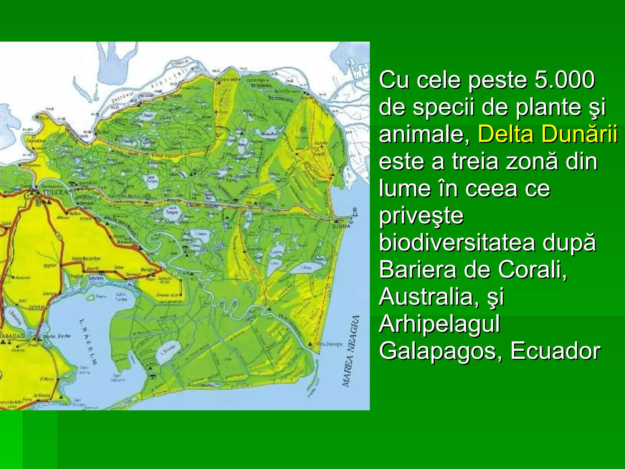 Delta dunarii, superlative si curiozitati | PPT