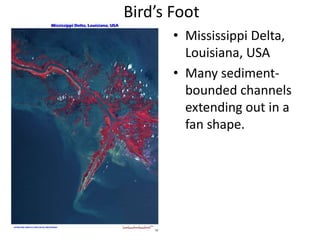 Delta formation | PPTX