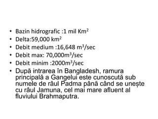 Delta gange | PPTX