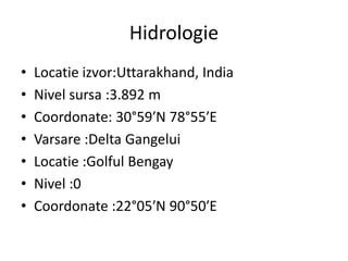 Delta gange | PPTX