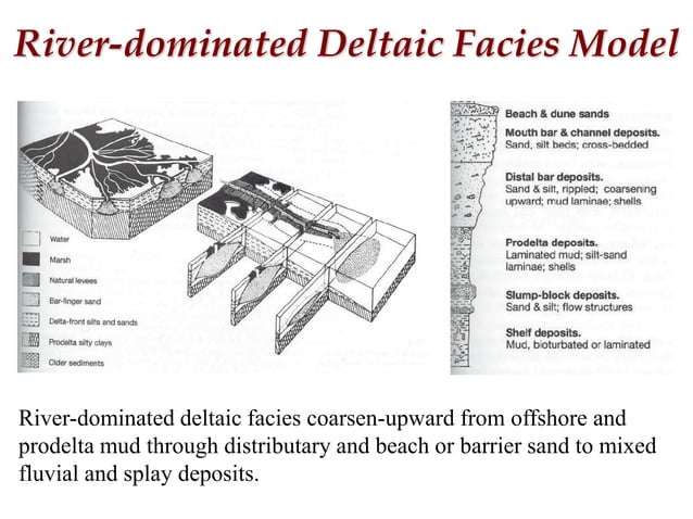 Deltaic Facies Model.ppt | Geography | Science