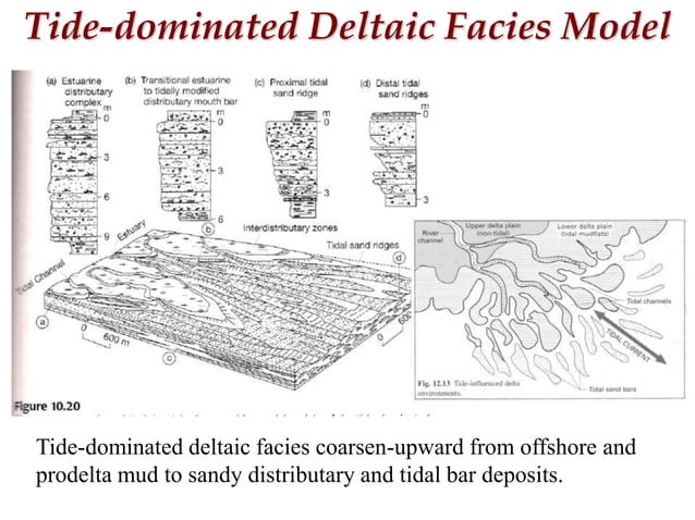 Deltaic Facies Model.ppt | Geography | Science
