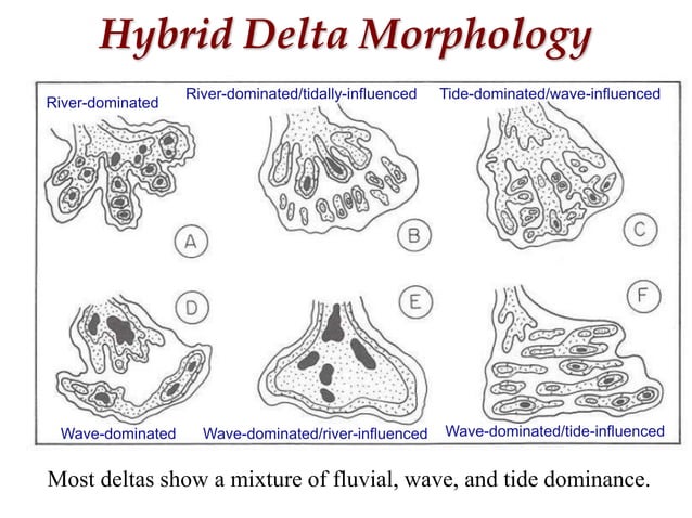 Deltaic Facies Model.ppt | Geography | Science