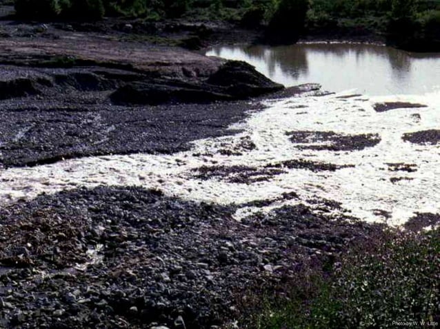 Deltaic Facies Model.ppt | Geography | Science