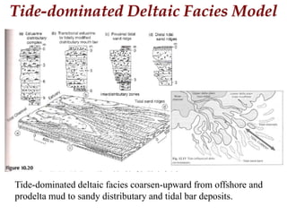 Deltaic Facies Model.ppt