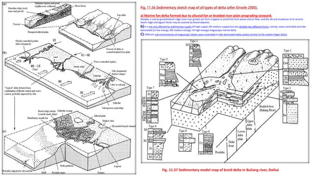 delta plain, delta front, and prodelta sedimentation.pptx