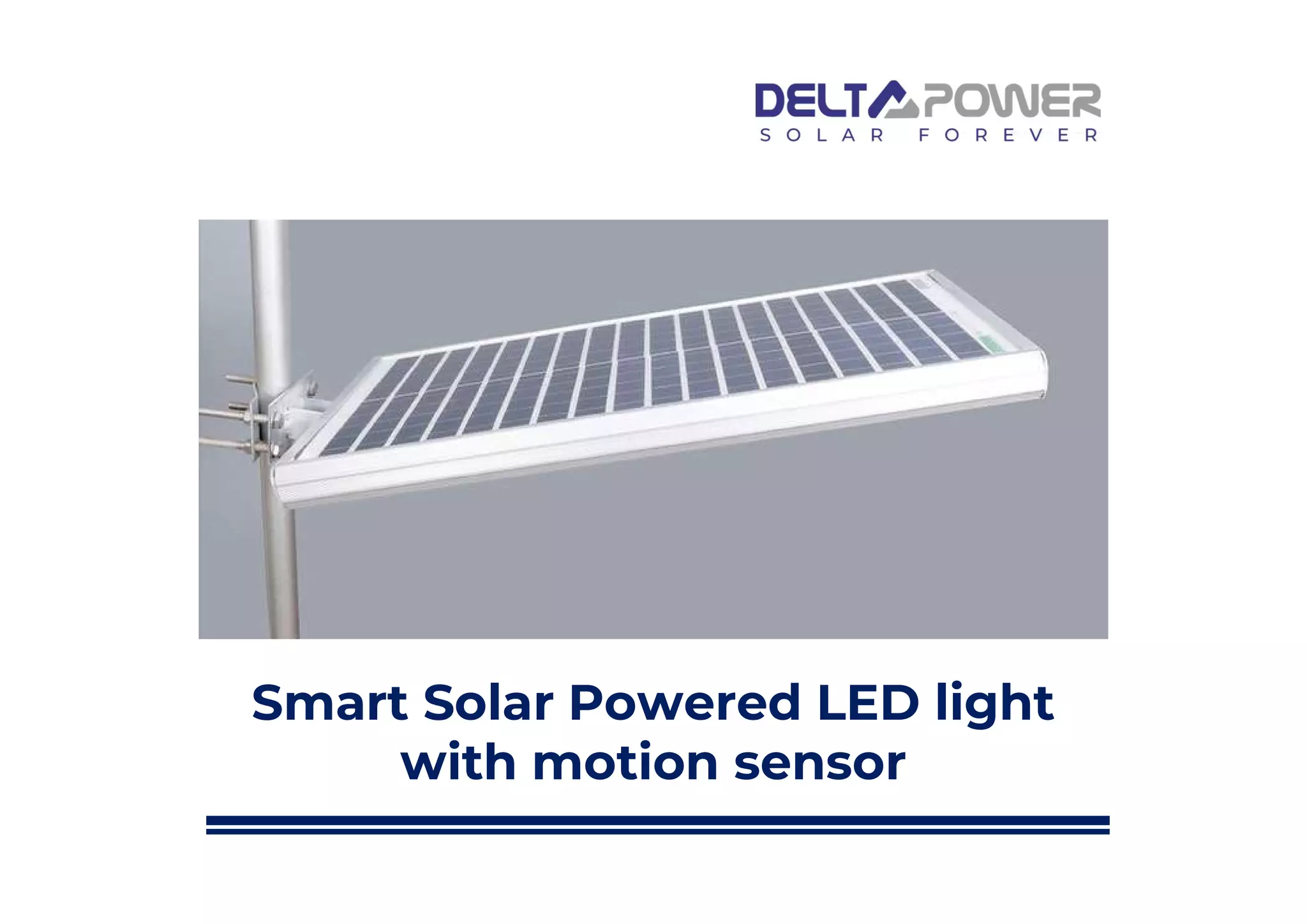 Deltapower Industrial Strength Solar LED lights with motion sensor | PDF