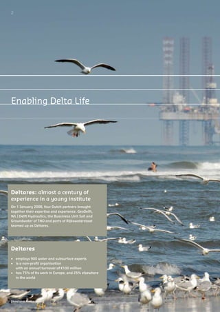 Deltares profile corporate brochure | PDF