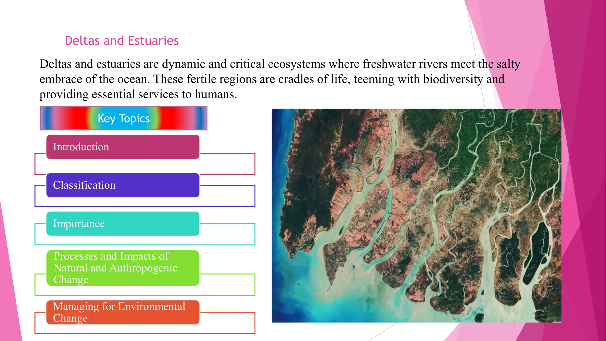 Deltas and Estuary Classification ,Sedimentology and Protection | PPTX