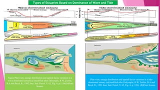 Deltas and Estuary Classification ,Sedimentology and Protection | PPTX
