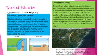 Deltas and Estuary Classification ,Sedimentology and Protection | PPTX