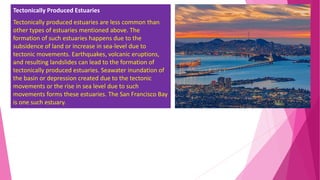 Deltas and Estuary Classification ,Sedimentology and Protection | PPTX