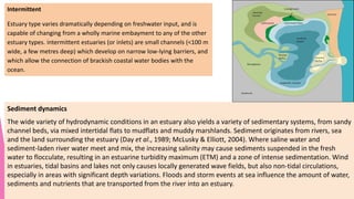 Deltas and Estuary Classification ,Sedimentology and Protection | PPTX