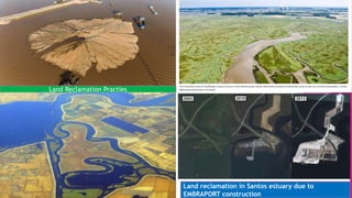 Deltas and Estuary Classification ,Sedimentology and Protection | PPTX