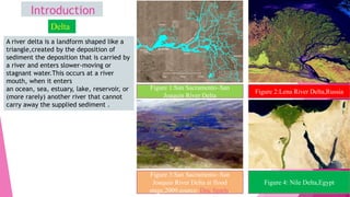 Deltas and Estuary Classification ,Sedimentology and Protection | PPTX