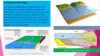 Deltas and Estuary Classification ,Sedimentology and Protection | PPTX