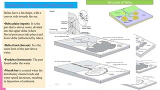 Deltas and Estuary Classification ,Sedimentology and Protection | PPTX