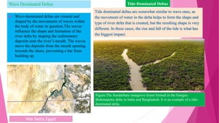 Deltas and Estuary Classification ,Sedimentology and Protection | PPTX