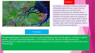 Deltas and Estuary Classification ,Sedimentology and Protection | PPTX