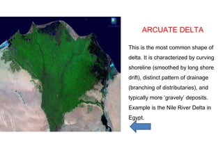 Deltas (balogun f.o. 187822) ppt | PPT