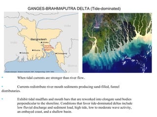 Deltas (balogun f.o. 187822) ppt | PPT