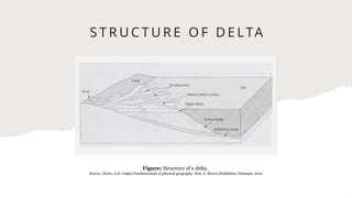 Deltas. Definition, Formation, Structure,Morphology, Types | PPTX