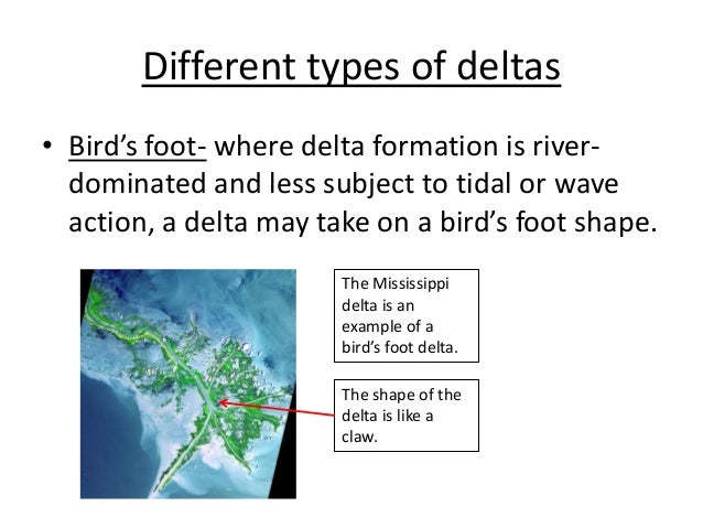 Deltas- types, formation, case studies