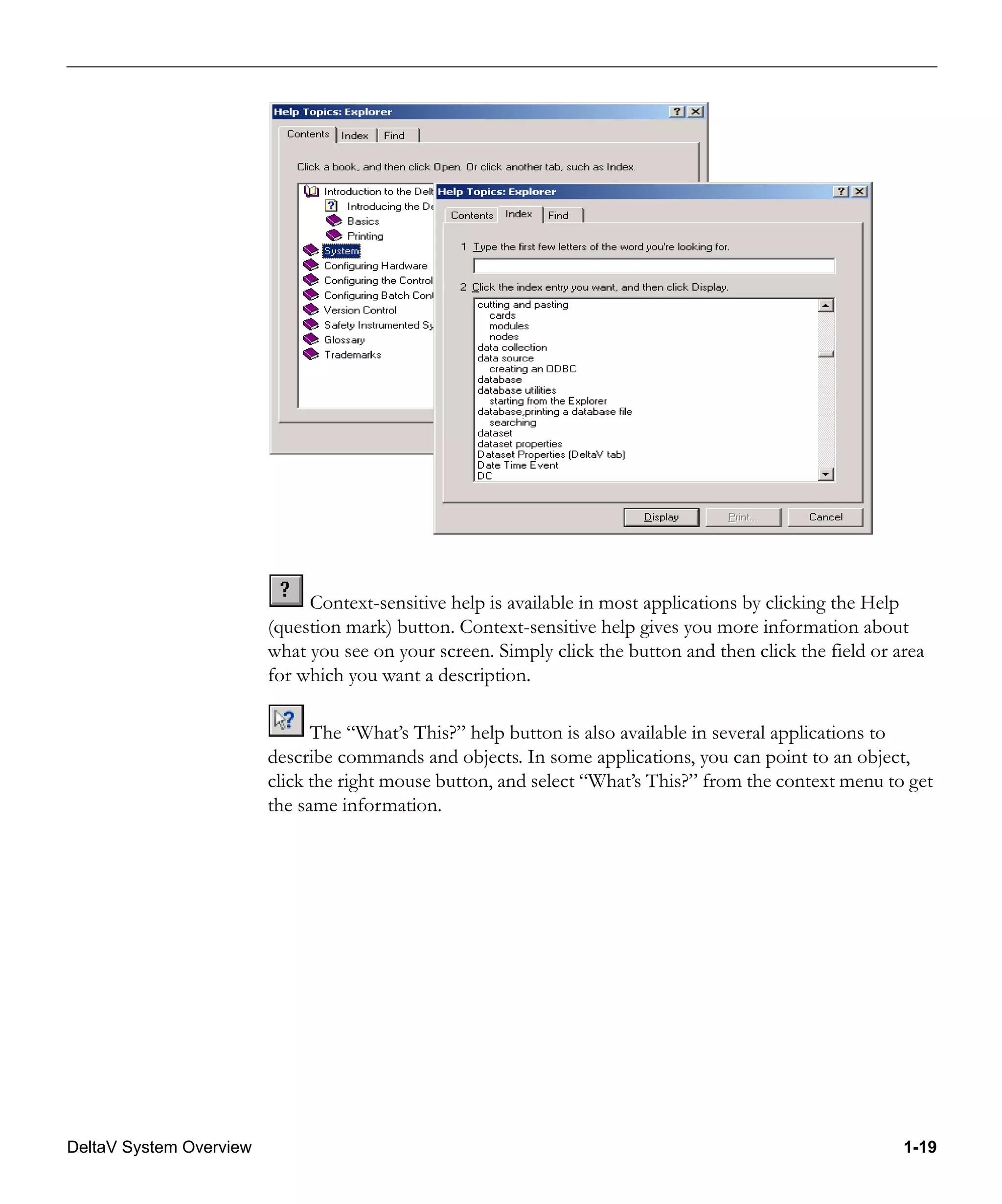 Delta v emerson_getting_started | PDF