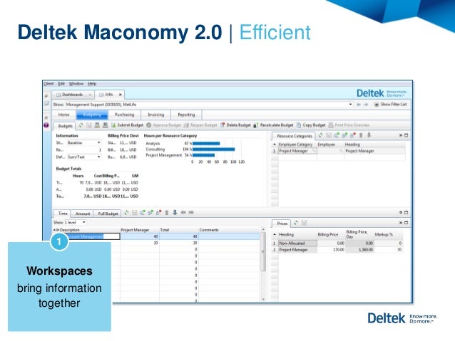 Introducing Deltek Maconomy 2 0 A Whole New Experience