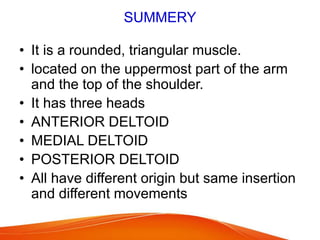 Deltoid muscle, origin insertion and movement | PPT