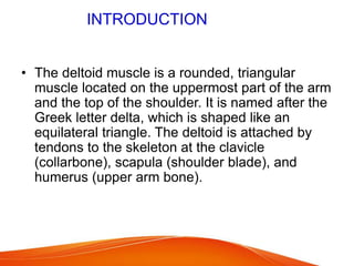 Deltoid muscle, origin insertion and movement | PPT