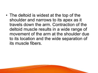 Deltoid muscle, origin insertion and movement | PPT