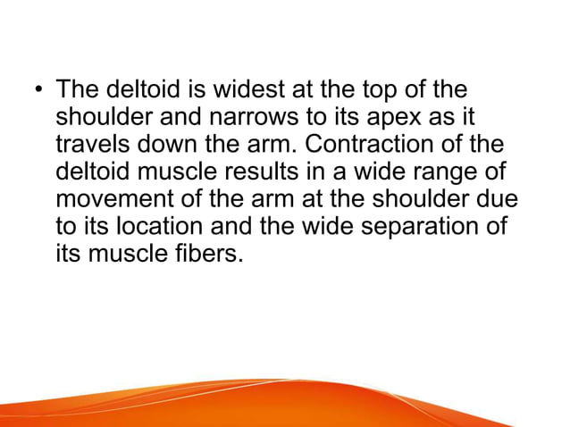 Deltoid muscle, origin insertion and movement | PPT