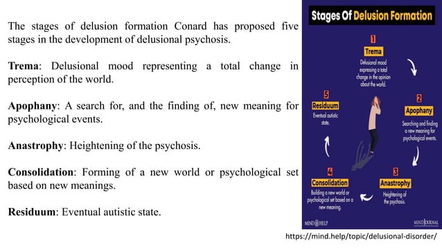 delusion ppt.pptx | Mental Health | Diseases and Conditions