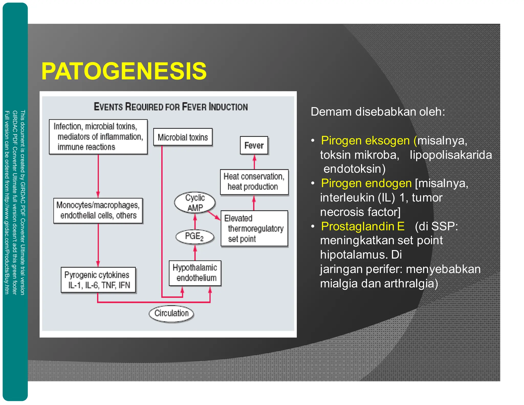 Workup and Differential Diagnosis of Fever | PPT