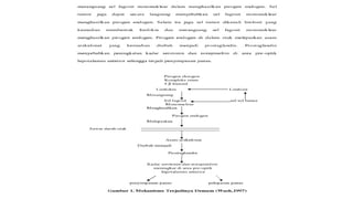 Demam: definisi patofisiologi , mekanisme | PPTX