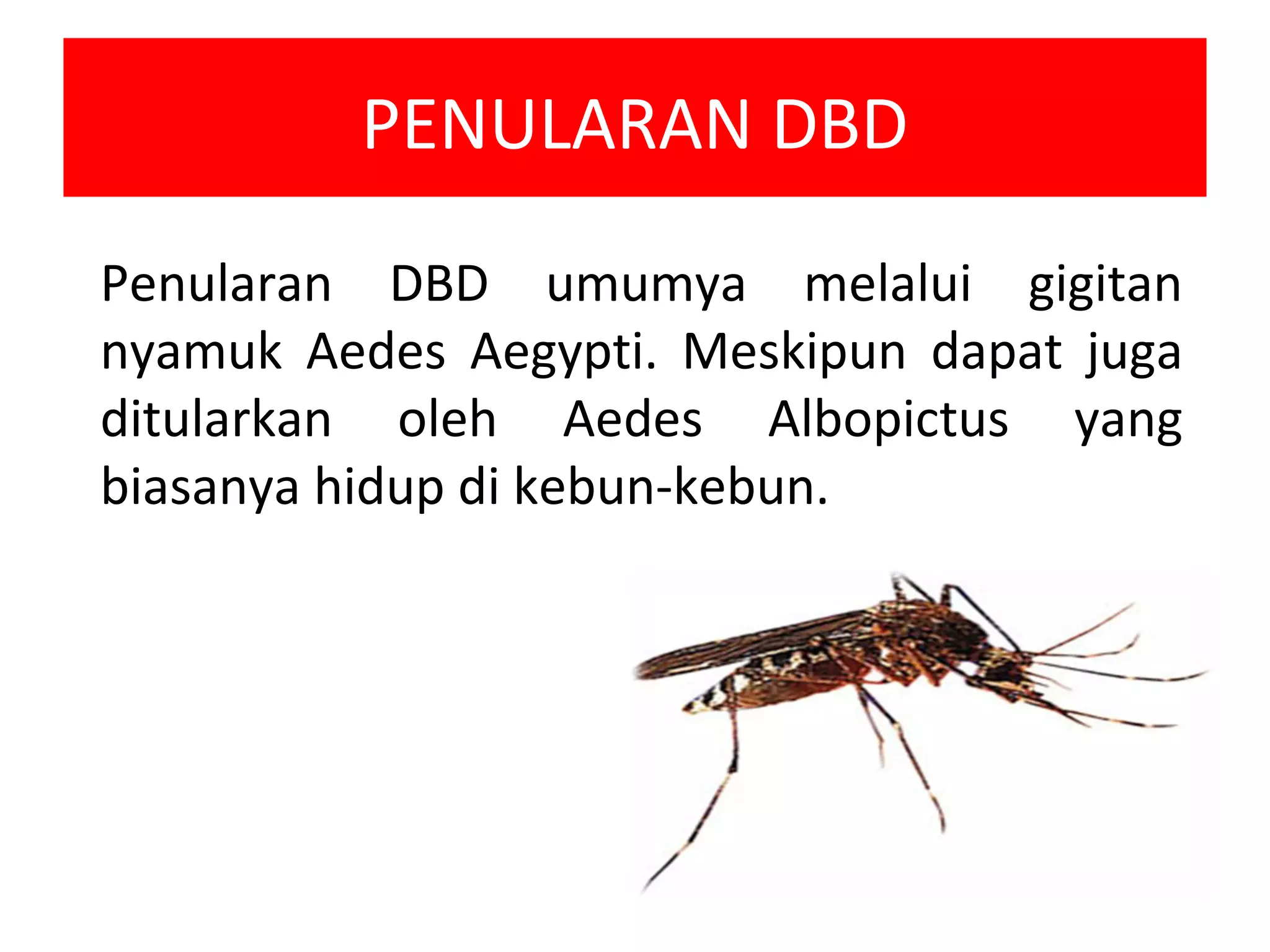 Demam berdarah-dengue-dbd | PPT