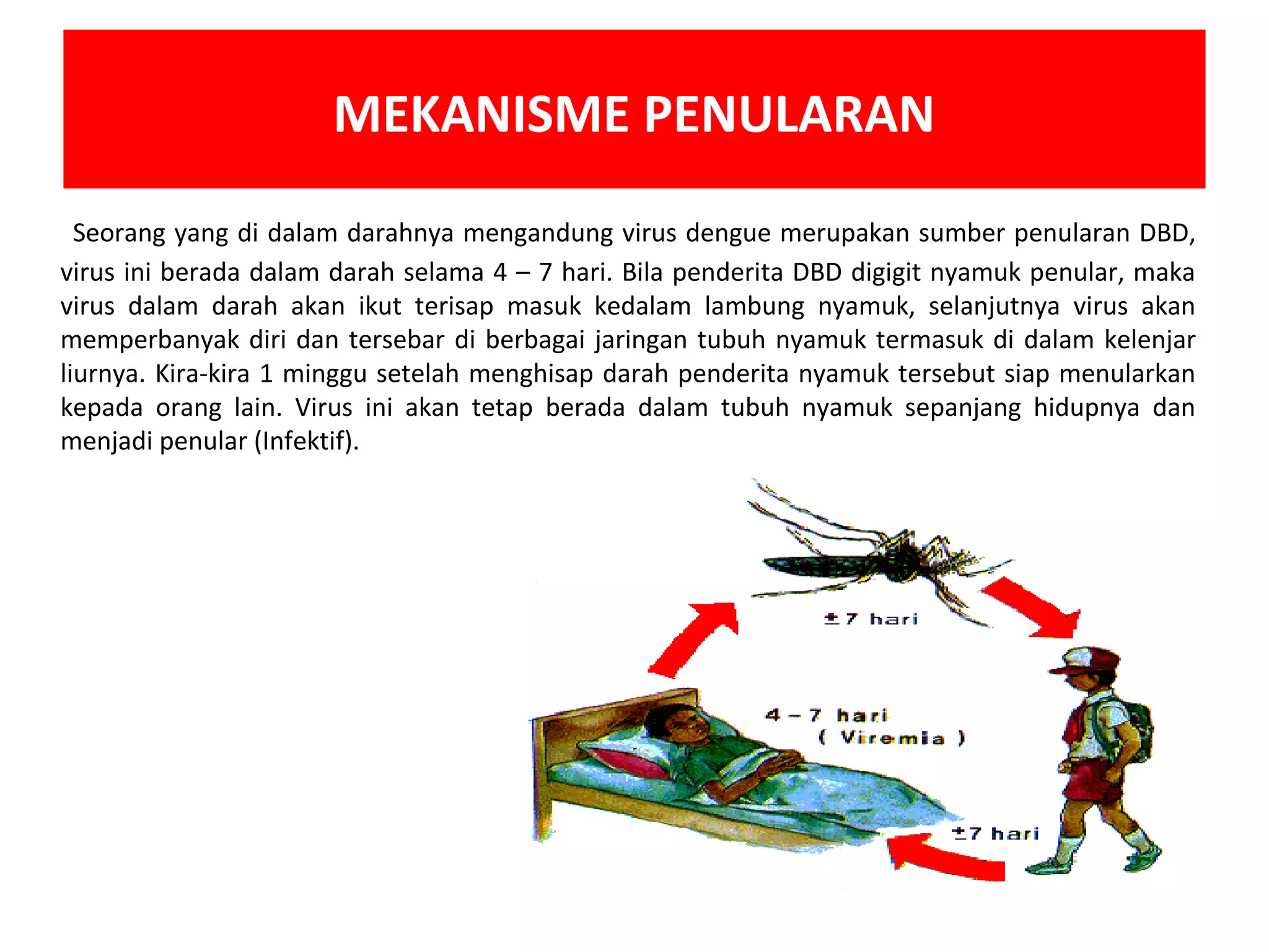 Demam berdarah-dengue-dbd | PPT