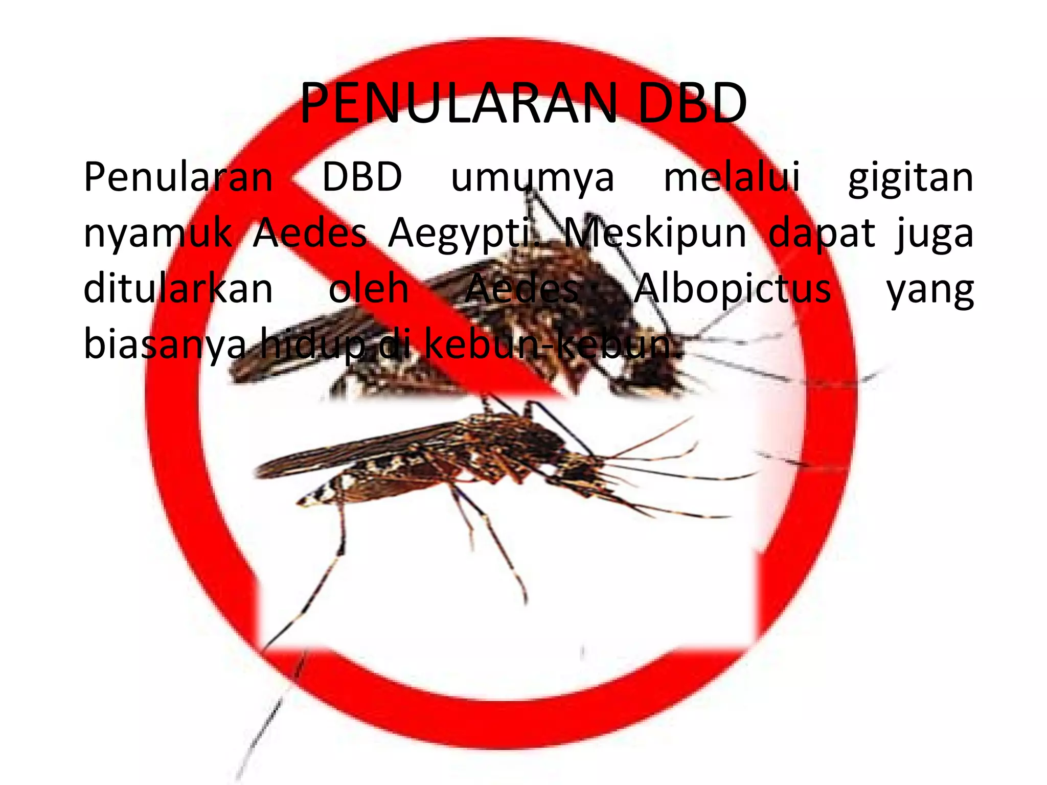 Demam berdarah-dengue-dbd | PPT