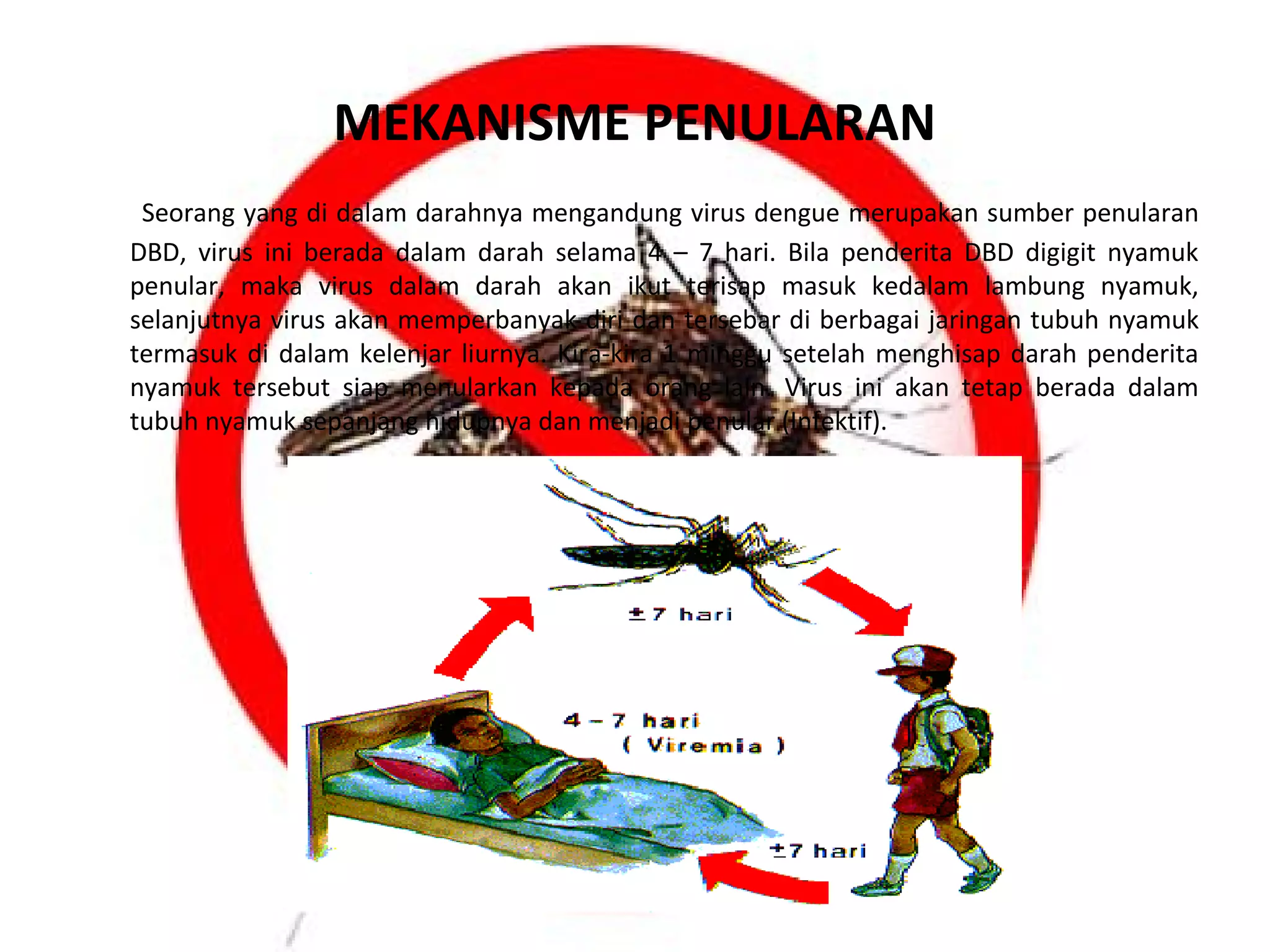 Demam berdarah-dengue-dbd | PPT