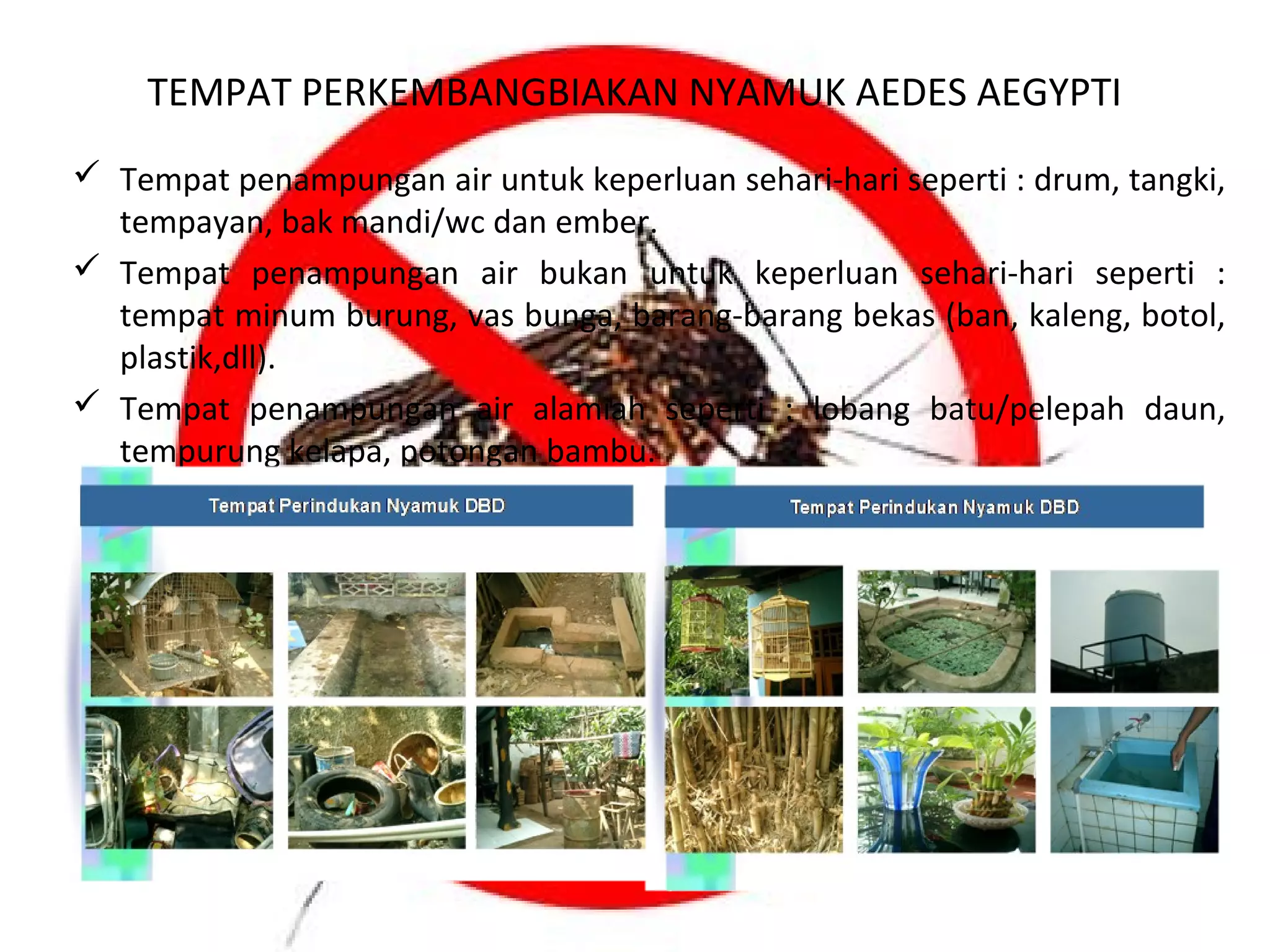Demam berdarah-dengue-dbd | PPT